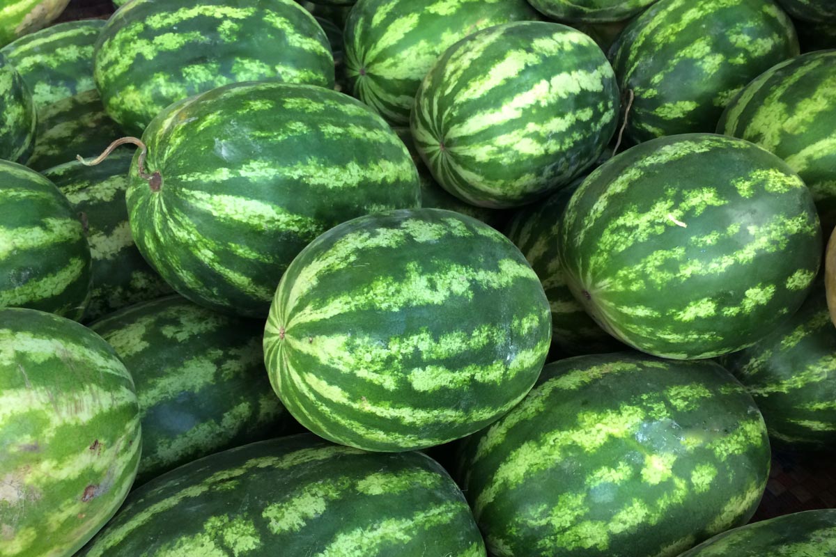 Why Are There So Many Names For The FDA s FSMA 204 Food Traceability